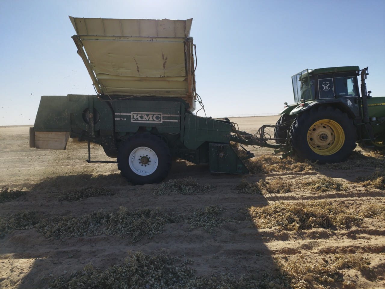 ASM Egypt | Premium Organic & Conventional Peanuts